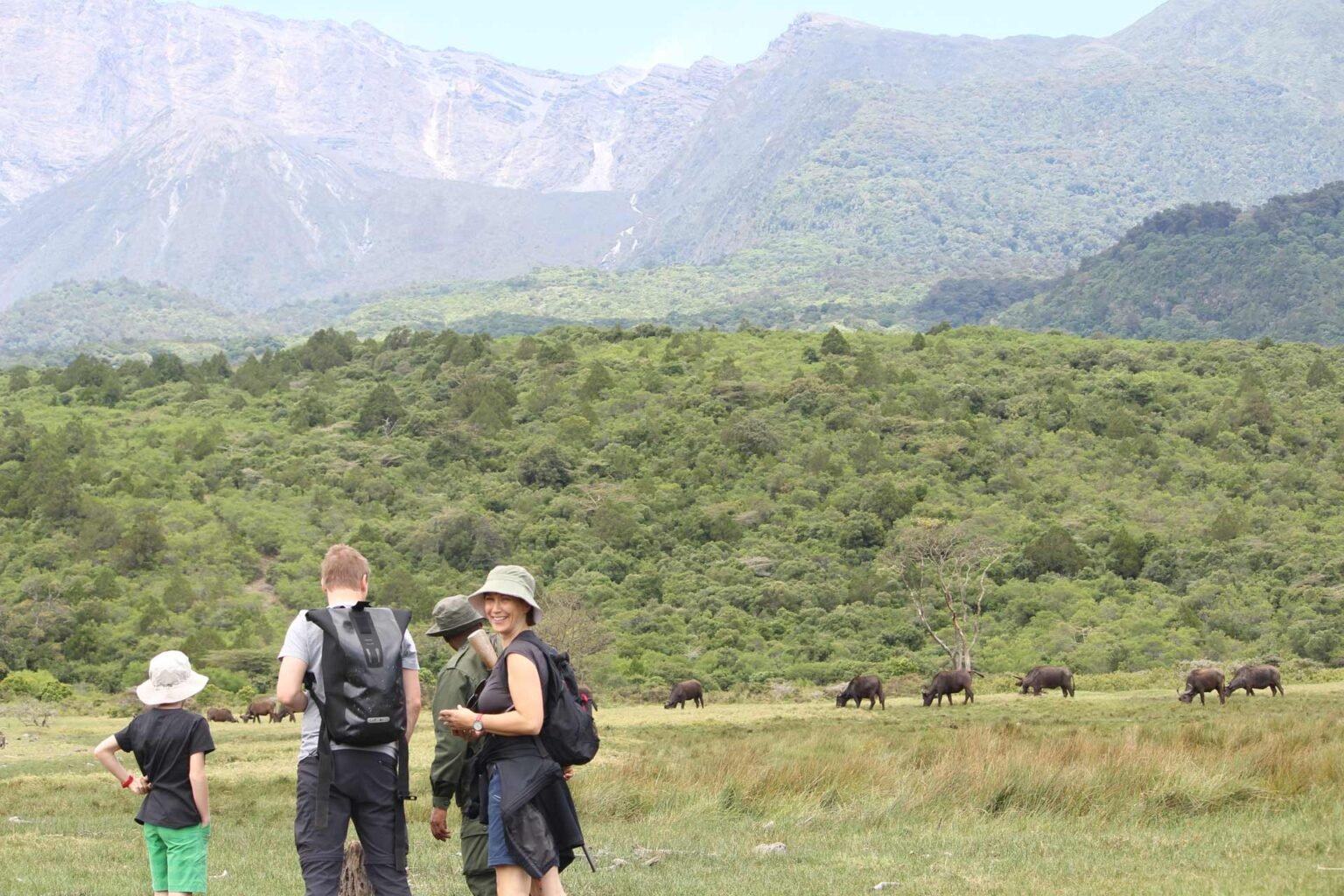 A Complete Guide to The Great Wildebeest Migration - Tanzania Safari Bug